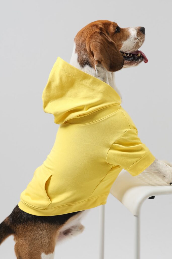 Buttery Soft and Cozy Human & Dog Clothes (Rated - 4.9★)